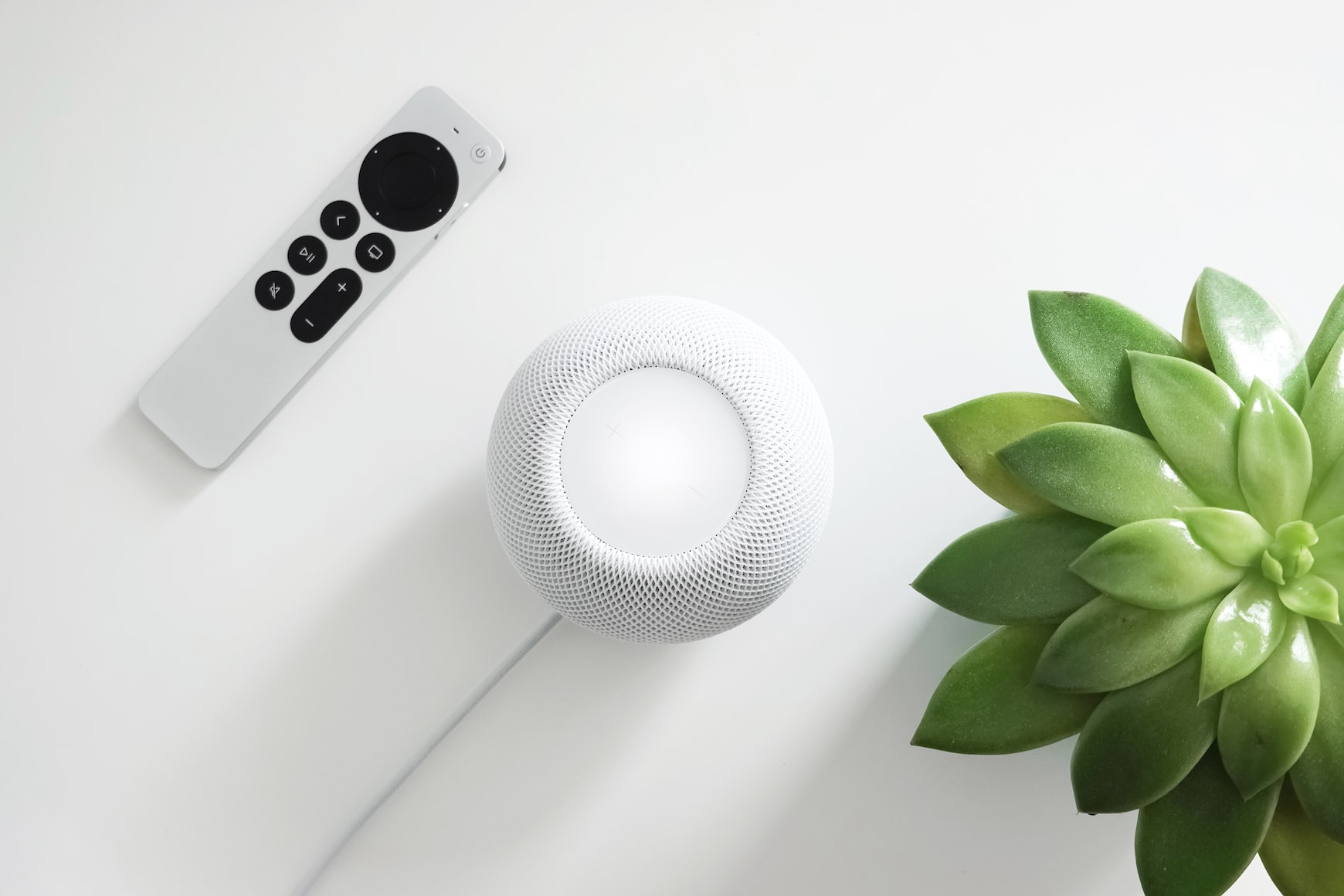 Comparison Of The Best Voice Assistants - Radar Magazine