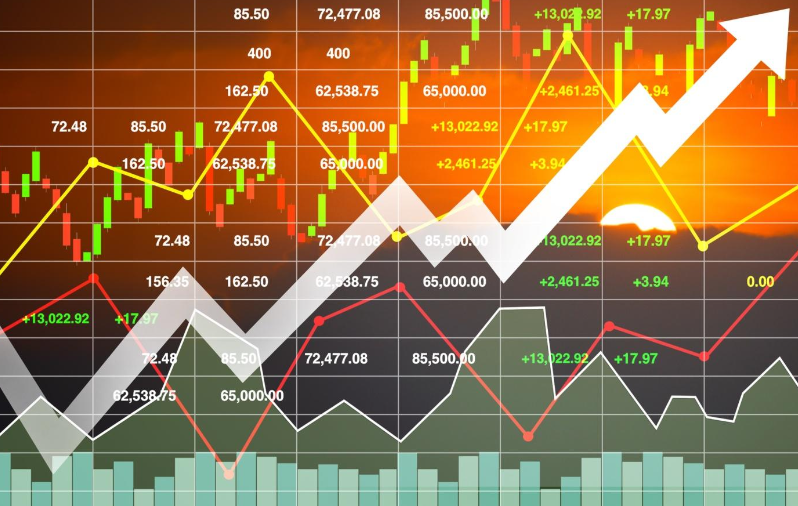 Top 10 Financial Investment Companies And Their Specialties Radar