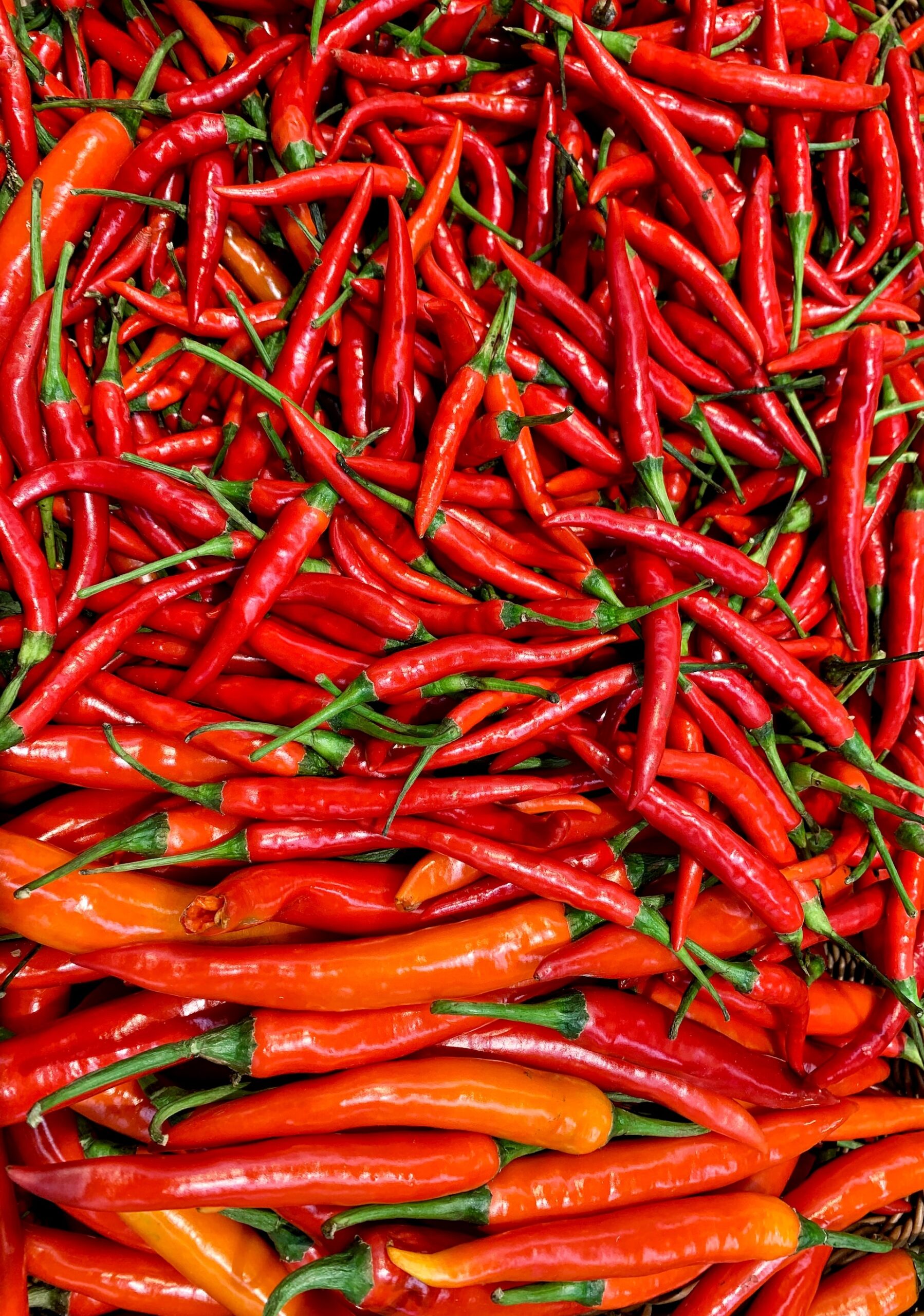 Wellhealthorganic.Com:Red-Chilli-You-Should-Know-About-Red-Chilli-Uses ...