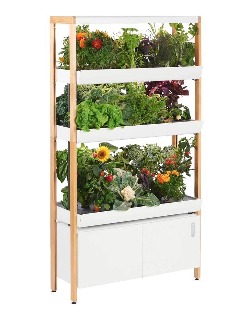 How to Build a Home Hydroponics System That Really Works - Radar Magazine