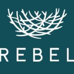 iare cms login - Radar Magazine